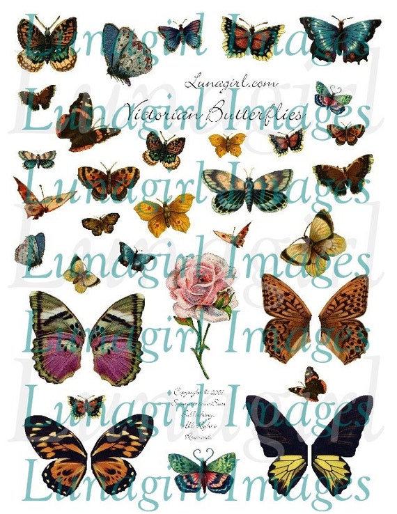 Visual Arts Fussy cut Butterflies Digital Collage Sheet Butterfly ...