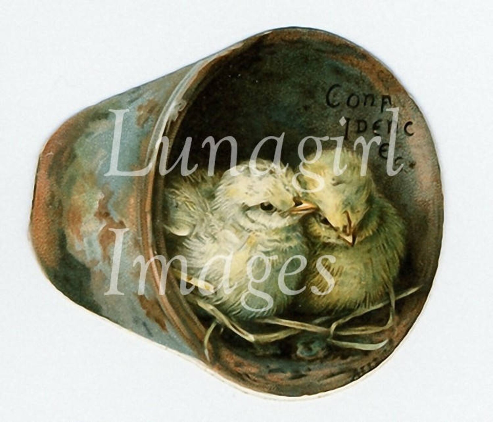 500 VINTAGE BIRDS Digital Images Victorian Birds Garden - Etsy