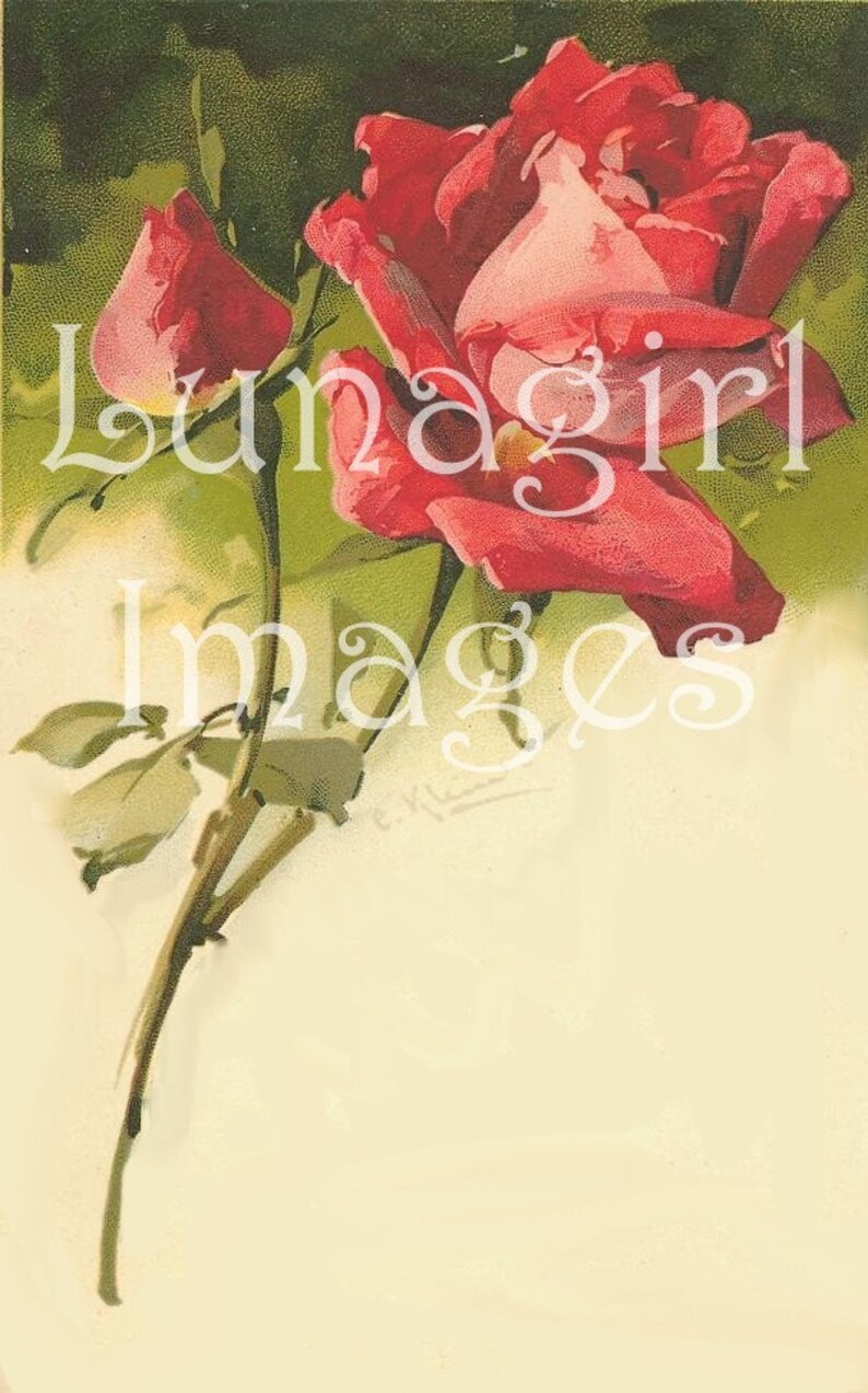 45 RED ROSES Vintage Images DOWNLOAD Flowers Floral Victorian - Etsy