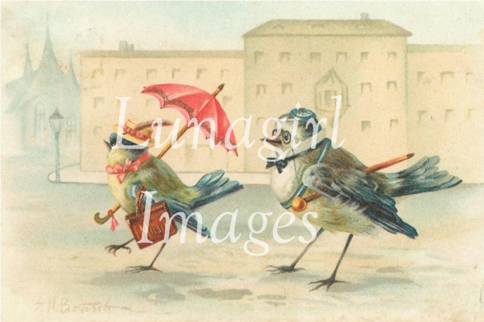 500 VINTAGE BIRDS, Digital Images, Victorian Birds, Woodland Art ...