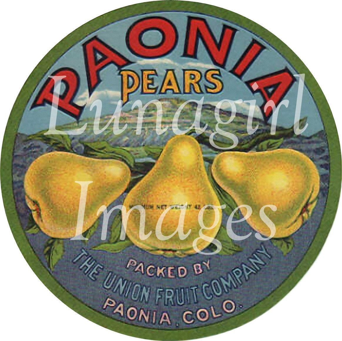 400 Can & CRATE LABELS Digital Vintage Images Fruit Crates - Etsy