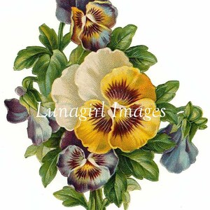 VICTORIAN FLOWERS, 900 Digital Images, Vintage Roses, Floral Cards Art ...