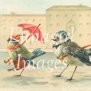 500 VINTAGE BIRDS, Digital Images, Victorian Birds, Garden Nature ...