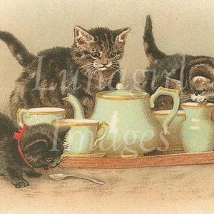 950 VINTAGE ANIMALS, Victorian Cats Dogs Horses Pets Zoo, Nature Prints ...