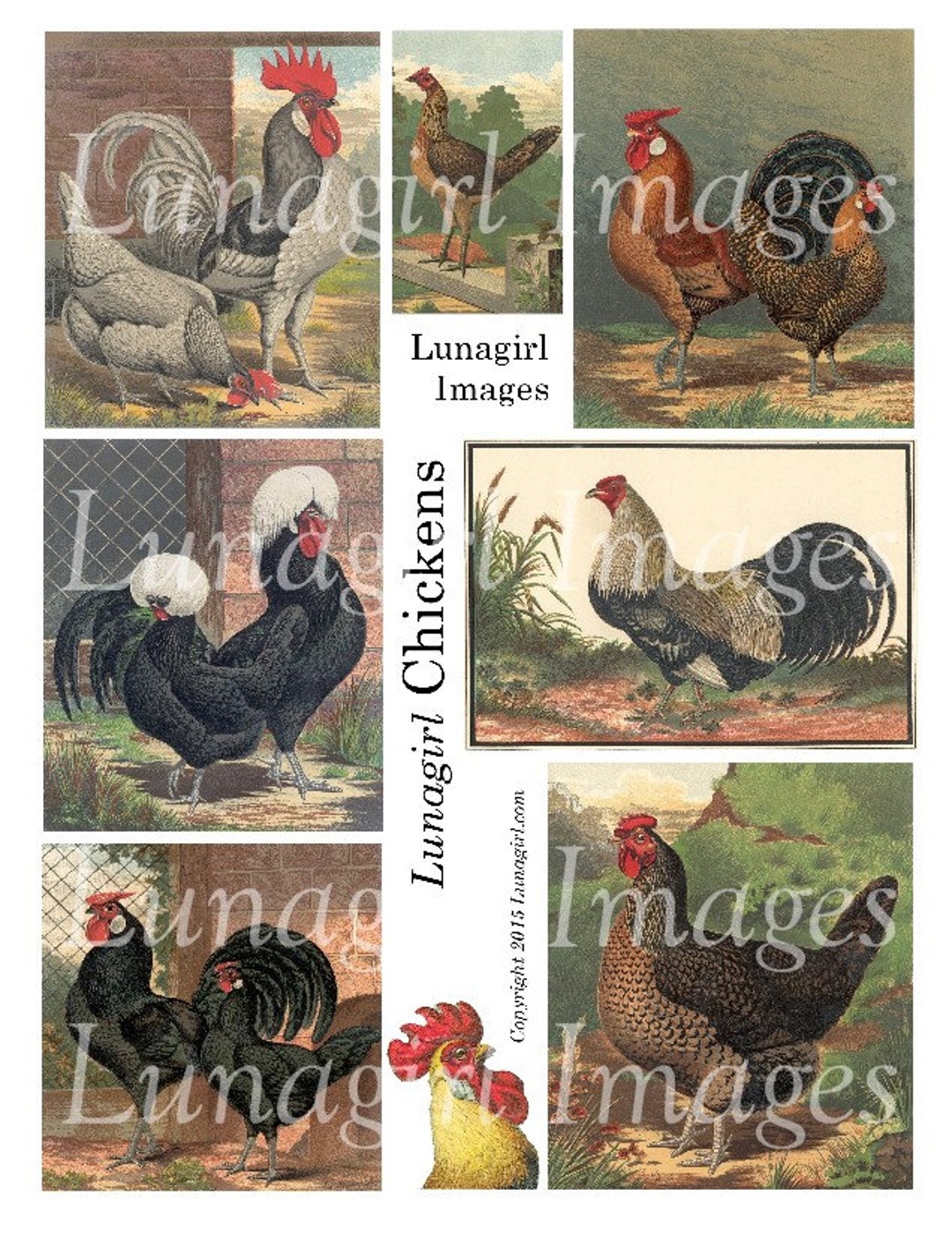 Vintage CHICKENS Digital Collage Sheet, Victorian Images Roosters Hens ...