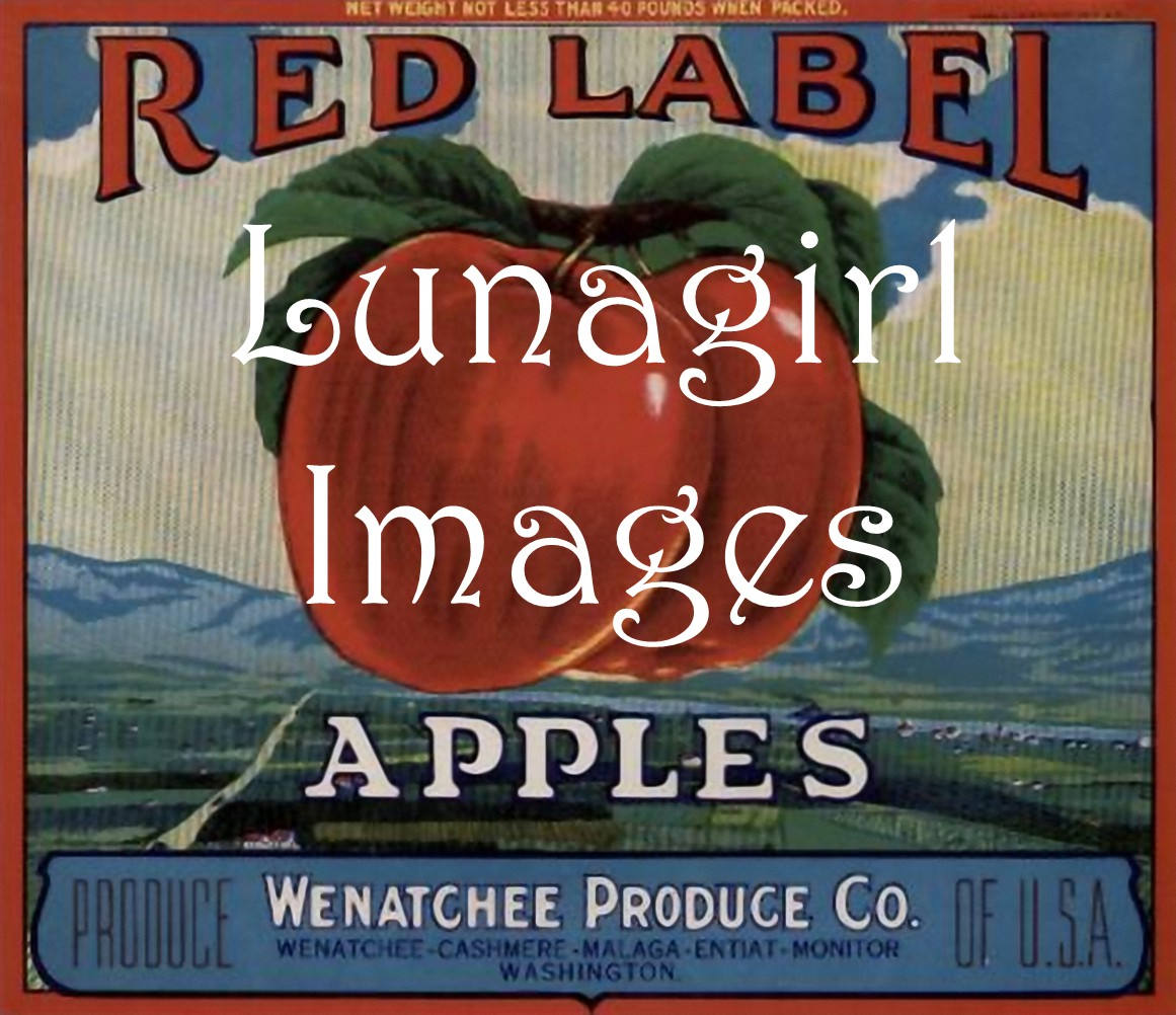 400 Can & CRATE LABELS, Digital Art DOWNLOAD, Vintage Ephemera, Junk ...