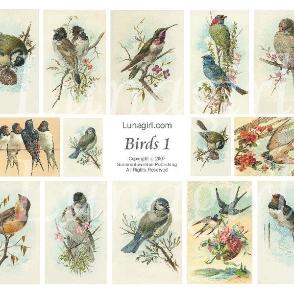 Victorian Birds - Etsy