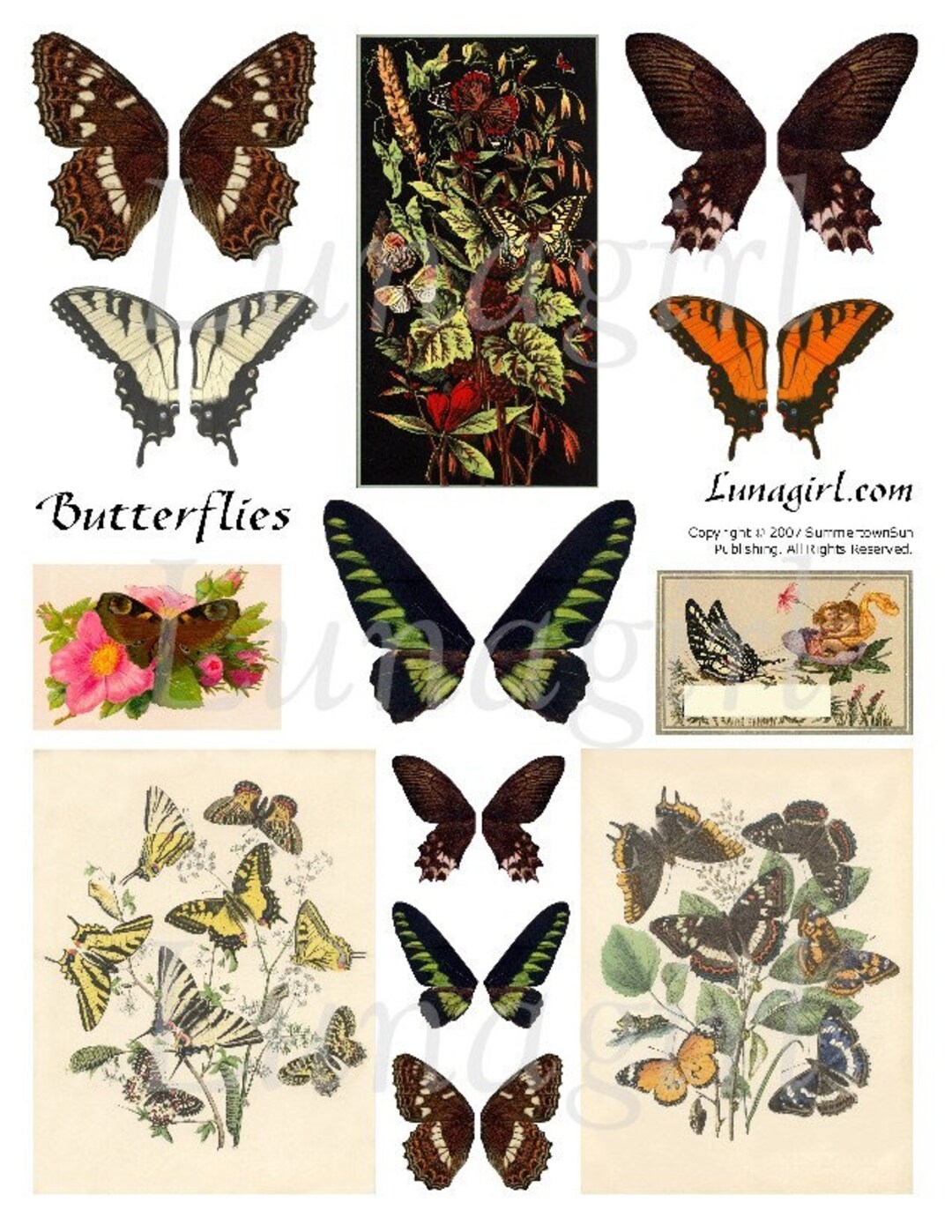 BUTTERFLY WINGS Digital Collage Sheet, Victorian Garden, Nature Fairies ...