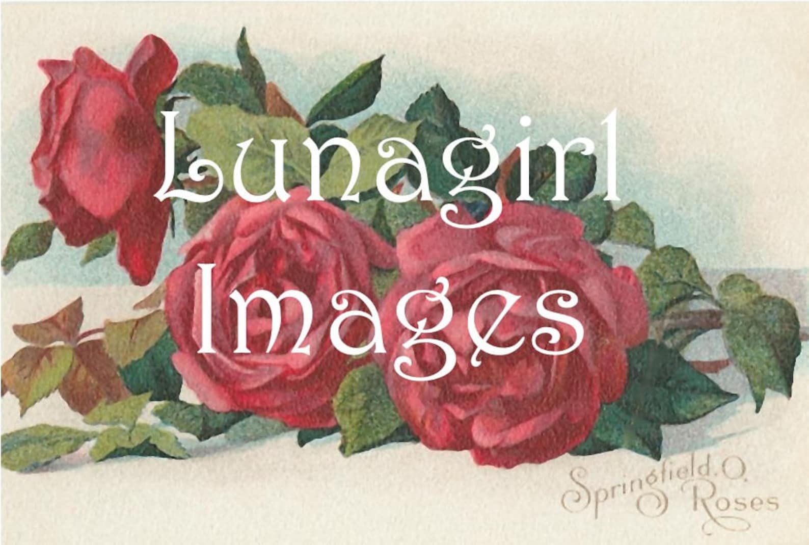 45 RED ROSES Vintage Images DOWNLOAD Flowers Floral Victorian - Etsy