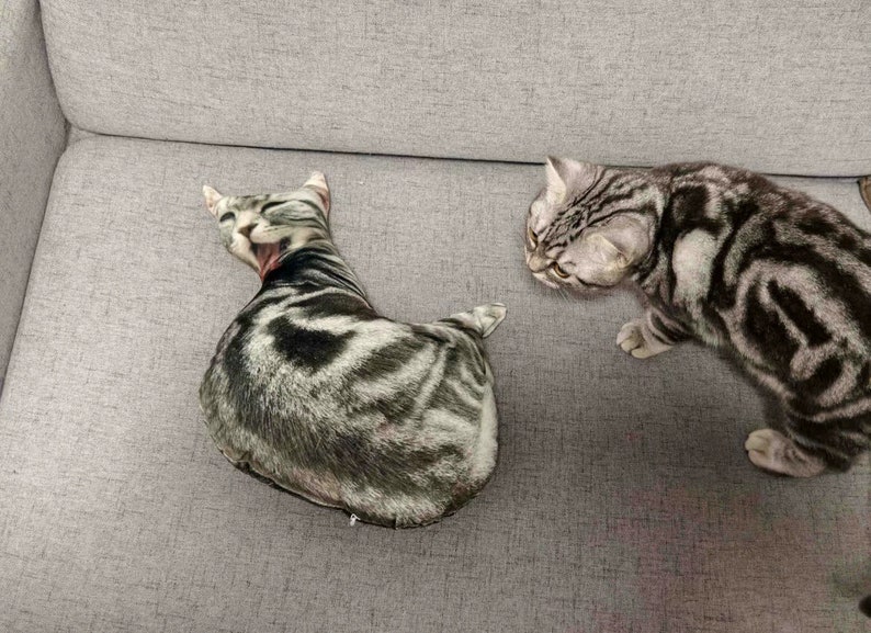 Custom Pet Pillow, Ugly Cat Pillow, Double Size Printed, Funny Gift ...