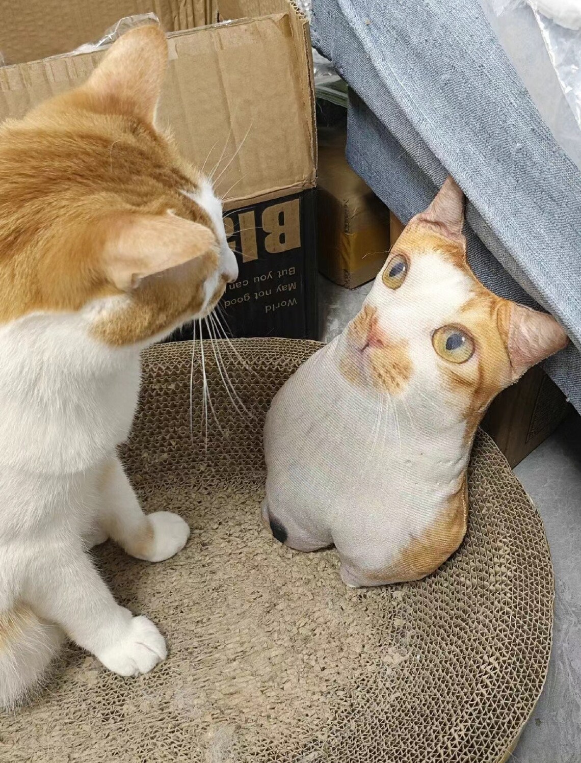 Custom Pet Pillow, Ugly Cat Pillow, Double Size Printed, Funny Gift ...