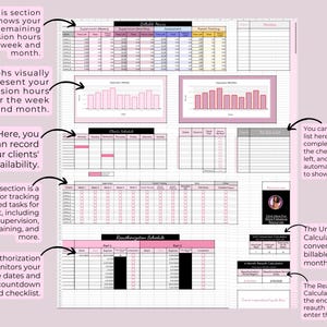 BCBA Caseload Organizer: All-in-one Google Sheet - Etsy