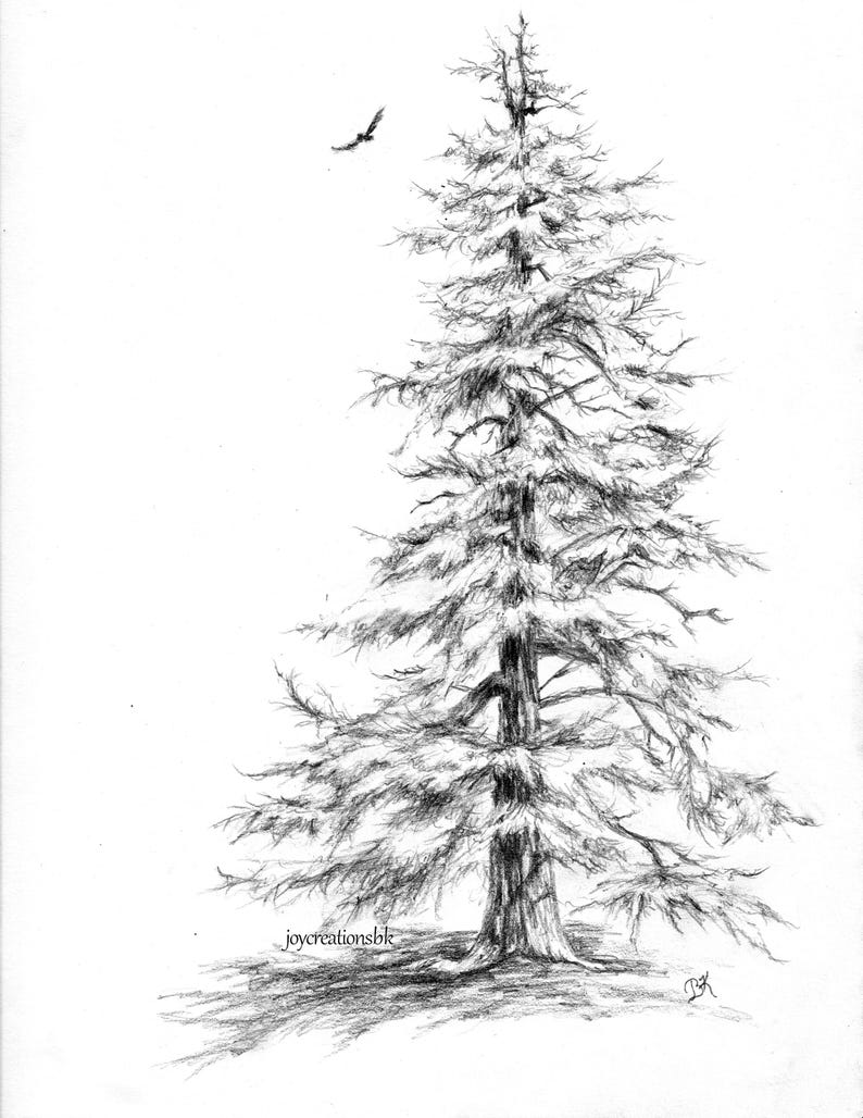 Cedar Tree Sketch, Mantel Art, Instant Nature Download, Outdoor Art - Etsy