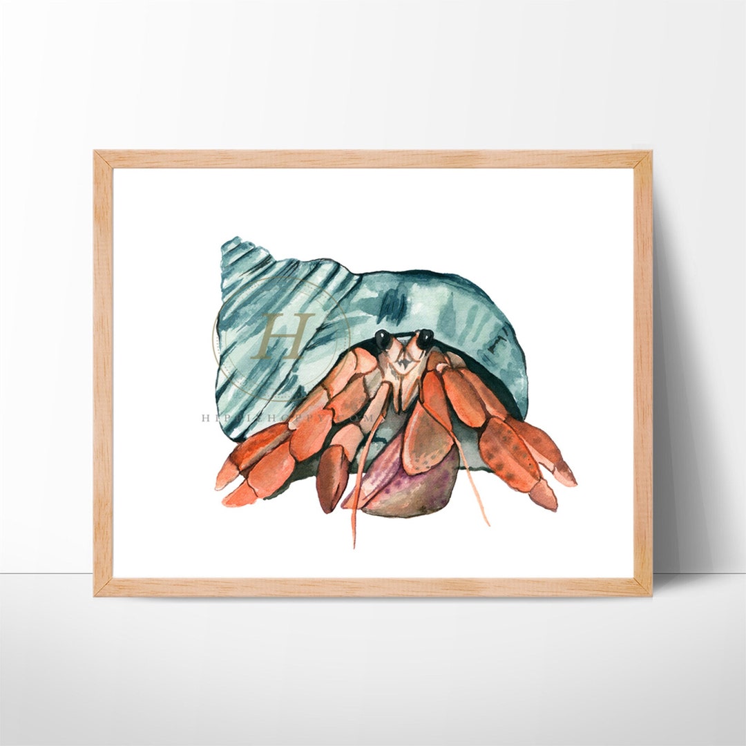 Hermit Crab Watercolor Print - Etsy