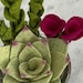 Succulent/felt Plant/felt Flower/gift for Her Birthday/home Decor/cute ...