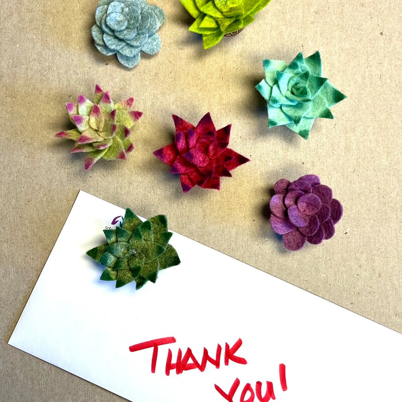 Succulent Magnet - Etsy