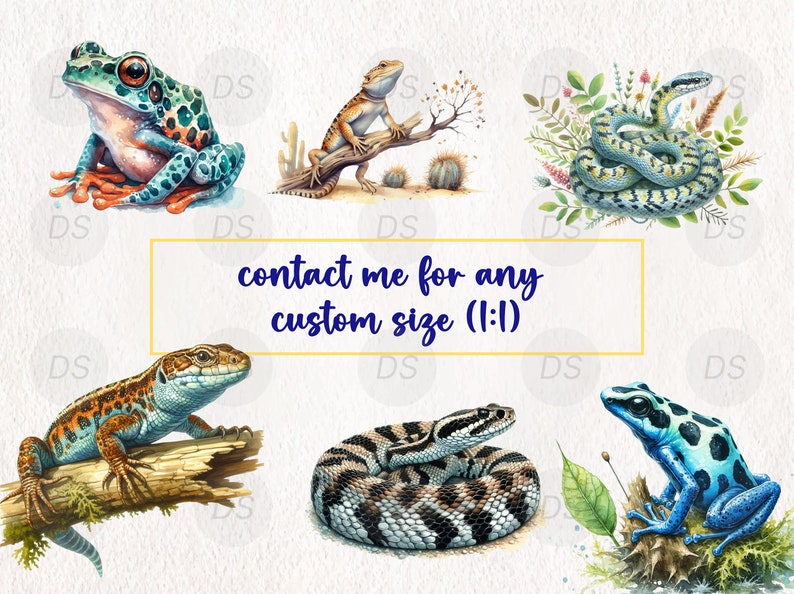 Watercolor Reptiles Clipart Commercial Use PNG Files 40 Png Instant ...