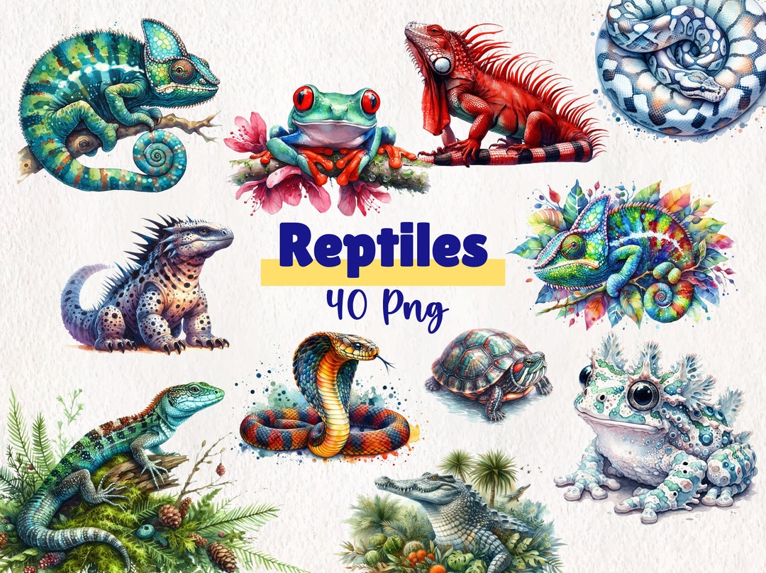 Watercolor Reptiles Clipart | Commercial Use PNG Files | 40 Png Instant ...