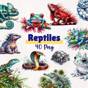 Watercolor Reptiles Clipart Commercial Use PNG Files 40 Png Instant ...