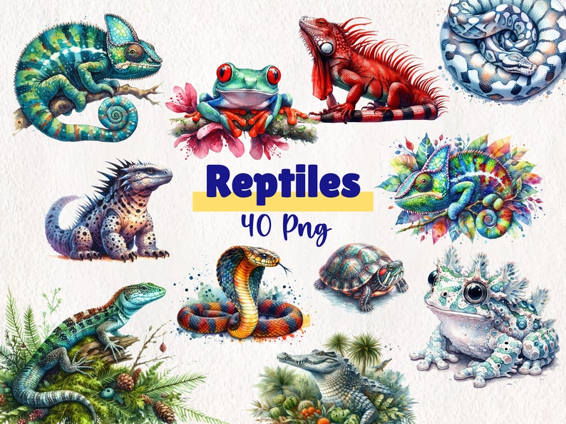 Watercolor Reptiles Clipart | Commercial Use PNG Files | 40 Png Instant ...
