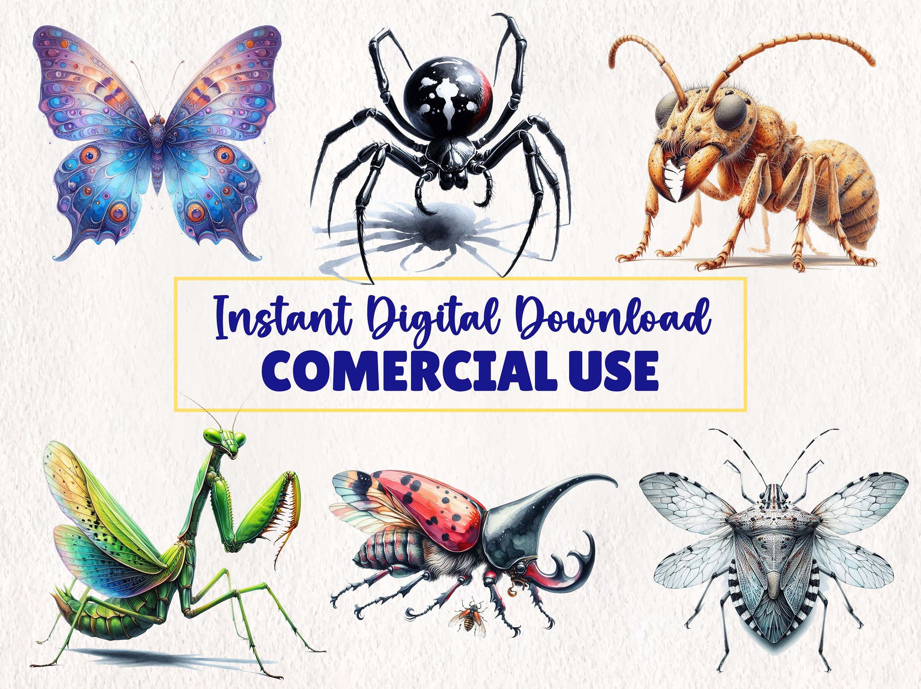 Watercolor Insects Clipart Commercial Use PNG Files DIY Craft Supplies ...