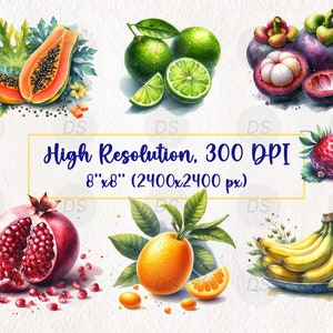 Watercolor Fruits Clipart | Commercial Use PNG Files | 40 Png Instant ...