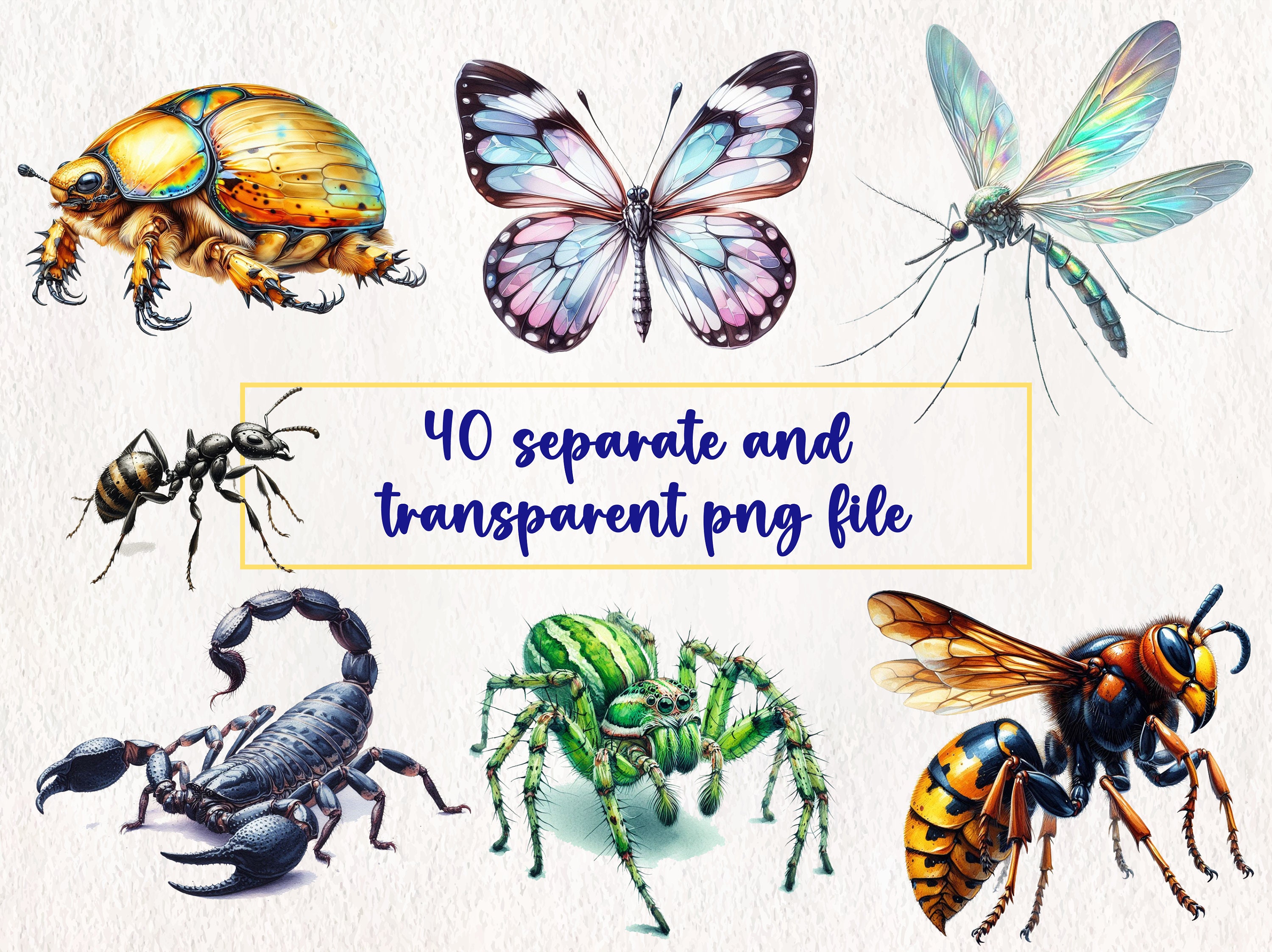 Watercolor Insects Clipart Commercial Use PNG Files DIY Craft Supplies ...