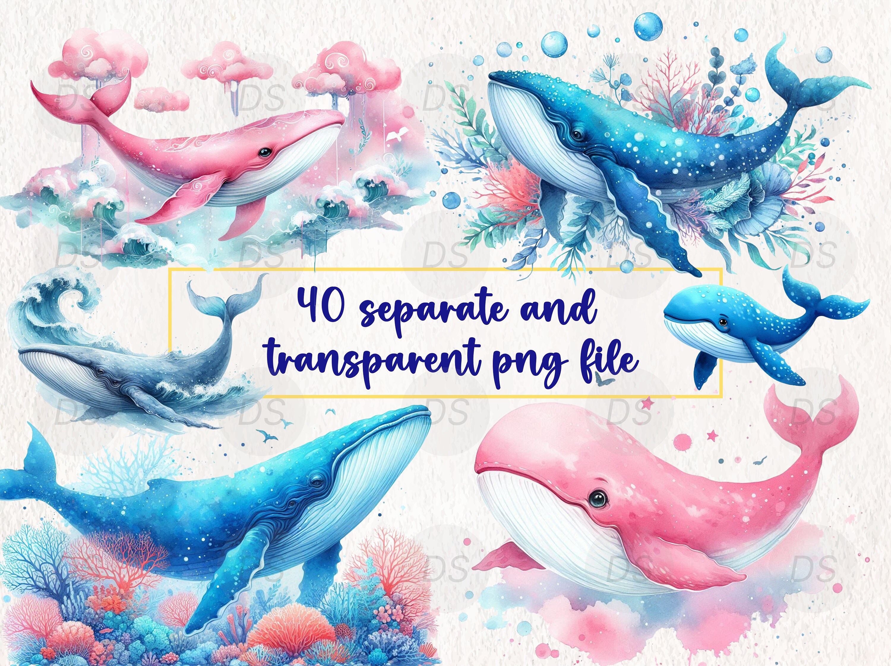 Watercolor Whales Clipart – Pink and Blue 40 PNG Set - Etsy