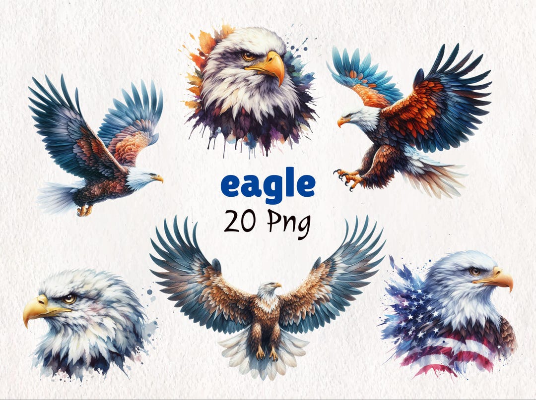 Watercolor Eagle Clipart – 20 PNG Bird Set - Etsy