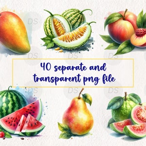 Watercolor Fruits Clipart | Commercial Use PNG Files | 40 Png Instant ...