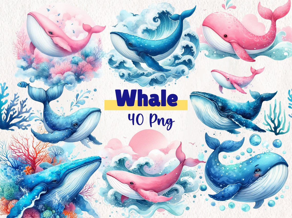 Watercolor Whales Clipart – Pink and Blue 40 PNG Set - Etsy