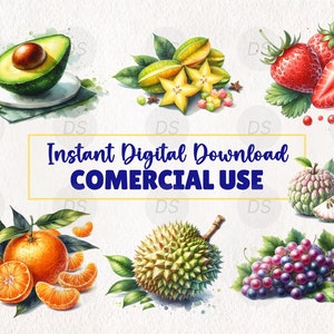 Watercolor Fruits Clipart | Commercial Use PNG Files | 40 Png Instant ...