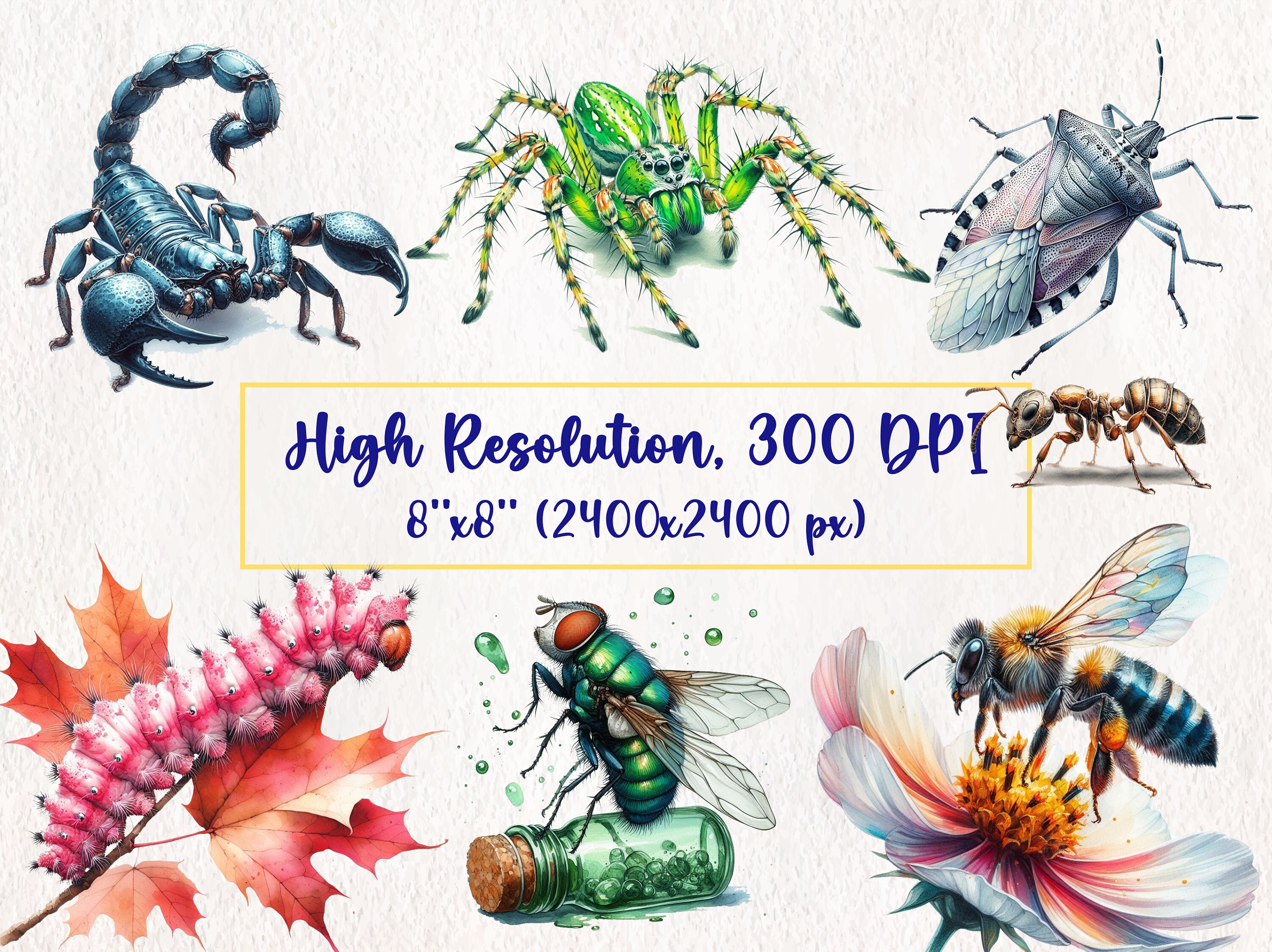 Watercolor Insects Clipart | Commercial Use PNG Files | DIY Craft ...