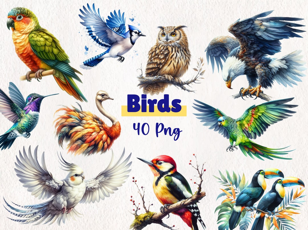 Watercolor Birds Clipart – 40 PNG Set - Etsy