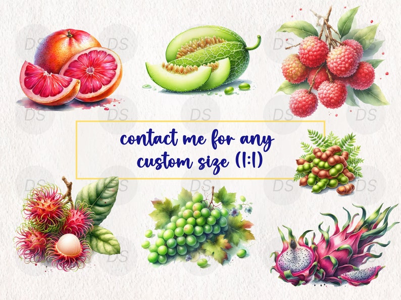 Watercolor Fruits Clipart | Commercial Use PNG Files | 40 Png Instant ...