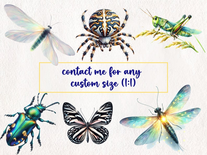 Watercolor Insects Clipart | Commercial Use PNG Files | DIY Craft ...