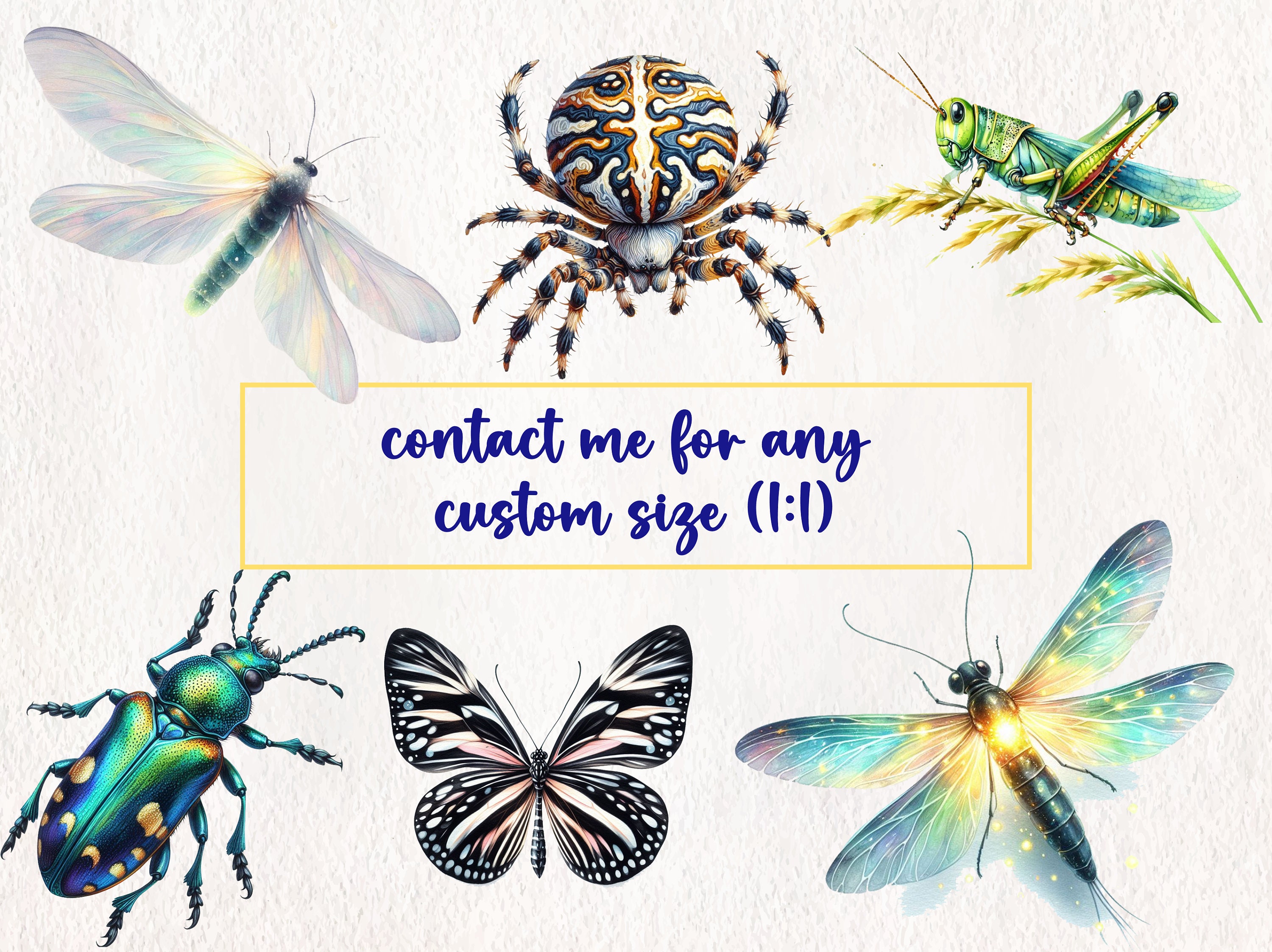 Watercolor Insects Clipart Commercial Use PNG Files DIY Craft Supplies ...