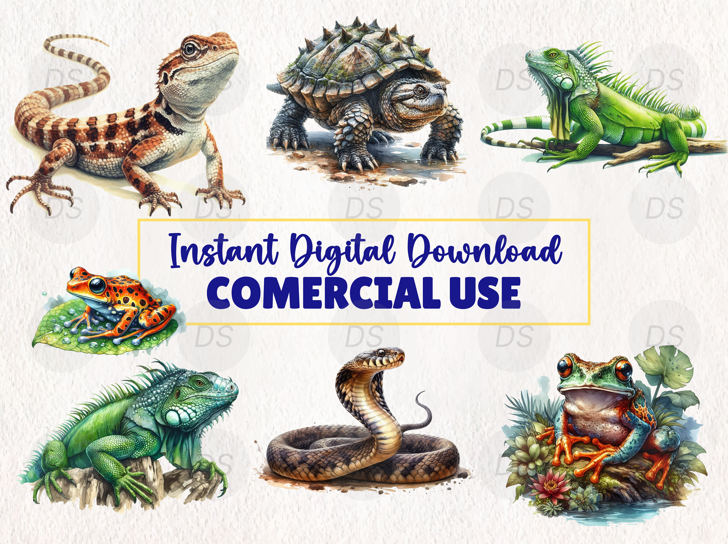 Watercolor Reptiles Clipart Commercial Use PNG Files 40 Png Instant ...