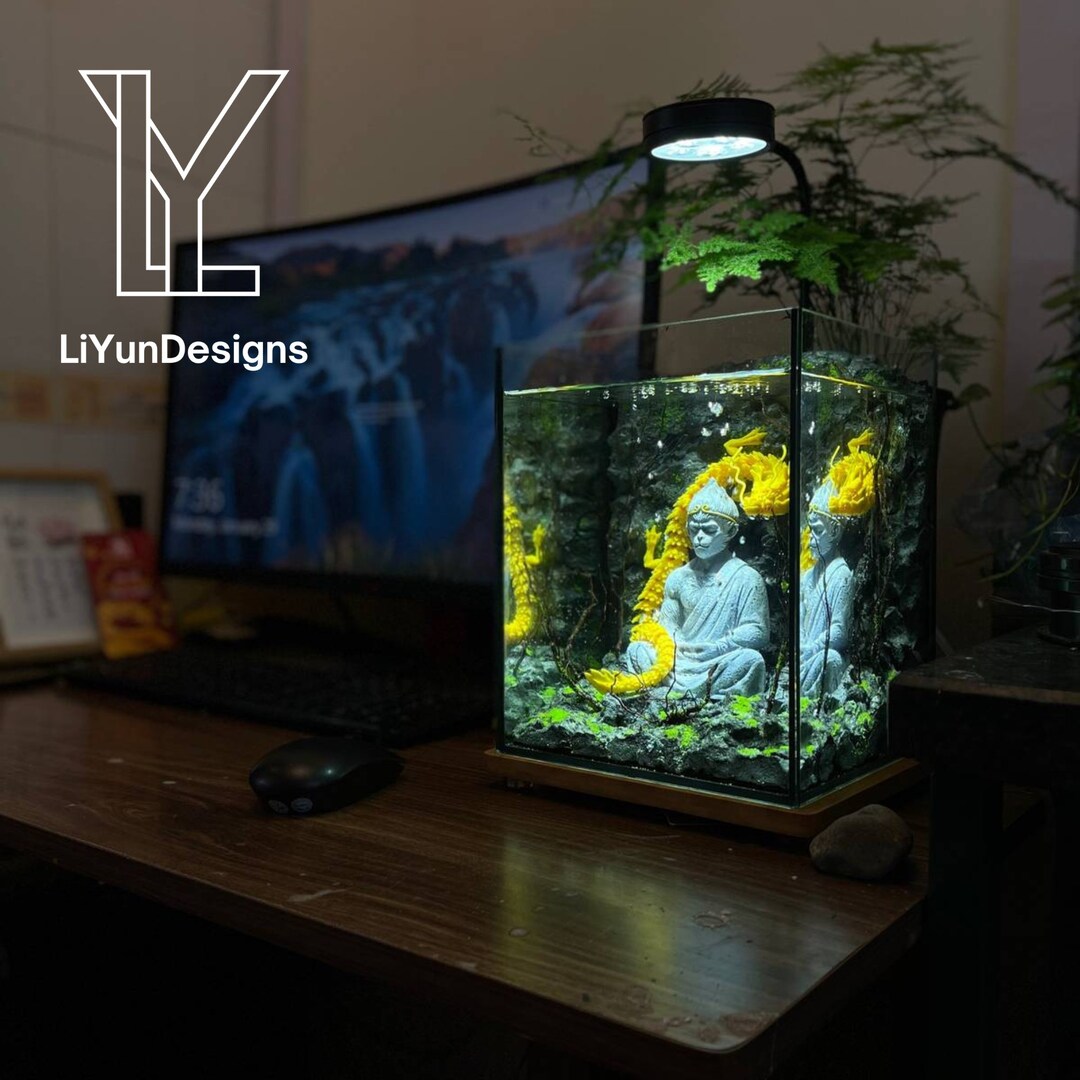 Terrarium Wukong A Tranquil Dragon's Realm - Etsy