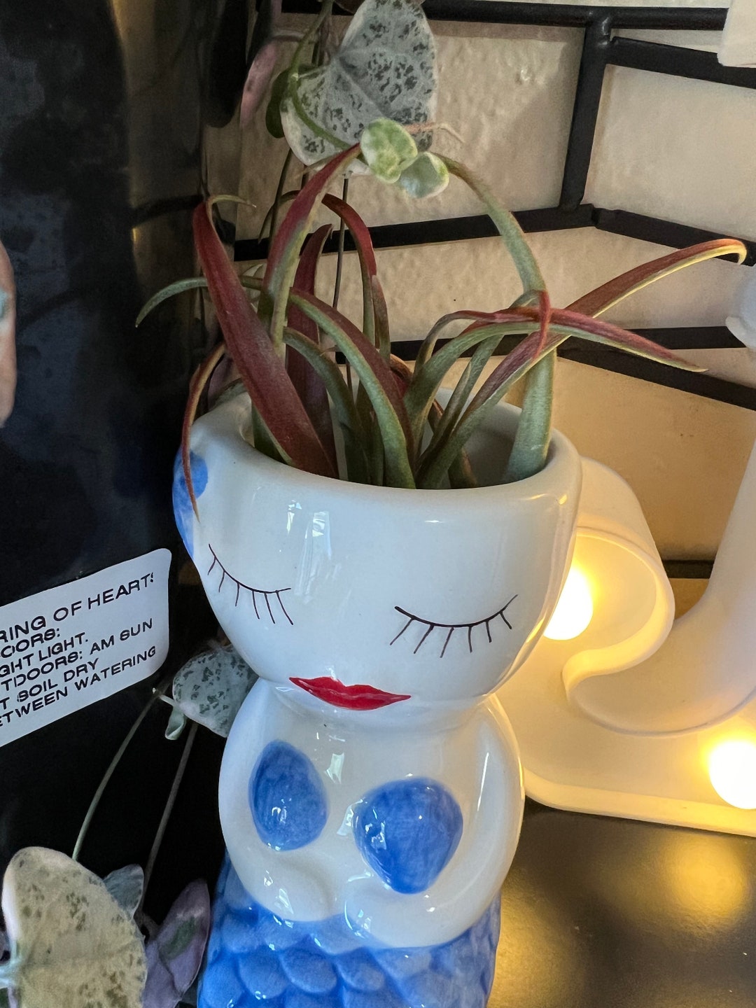 Mermaid Planters Airplant Holder Set of 2. - Etsy