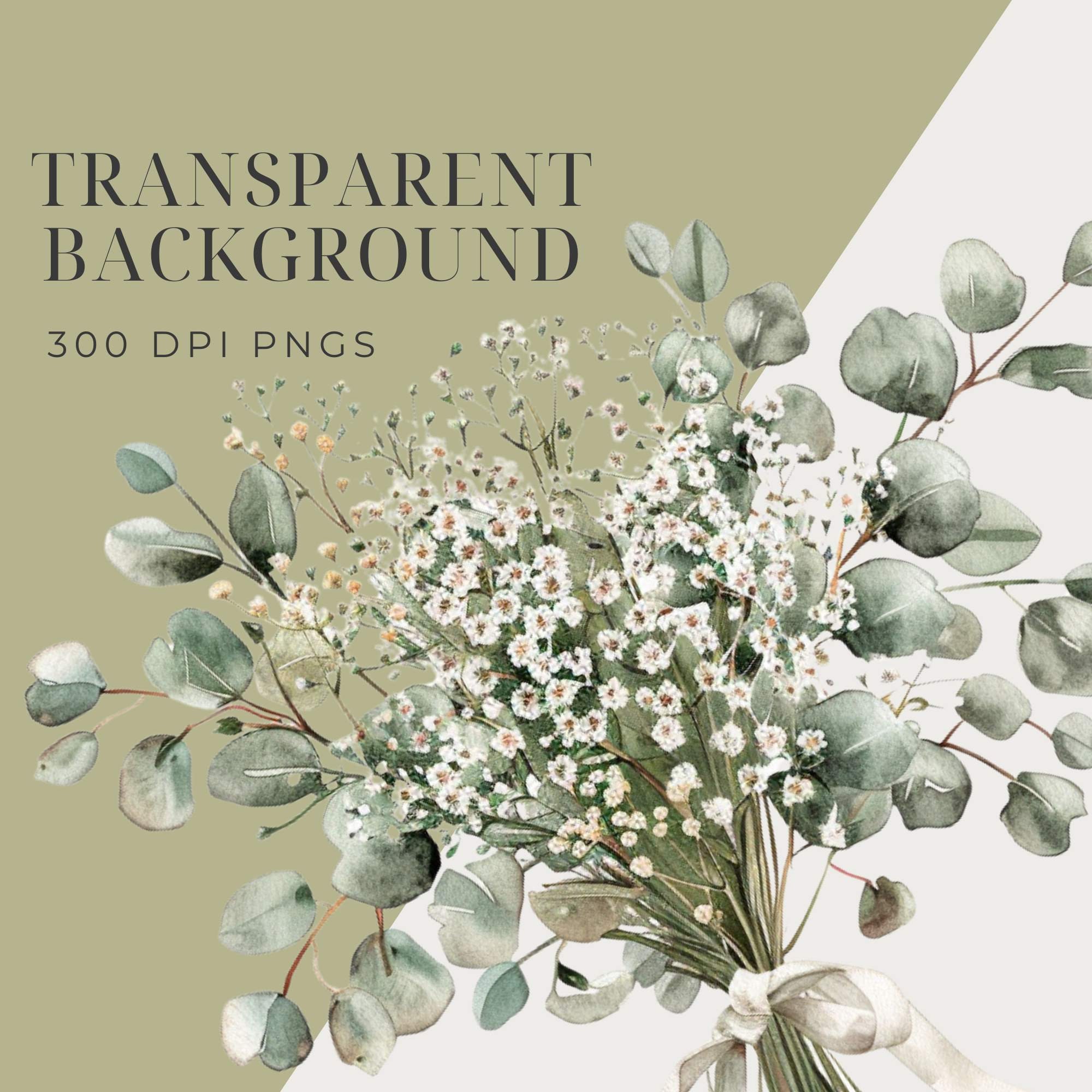 Baby Breath Floral Clipart Bouquets and Wreaths Babys Breath Bouquet ...