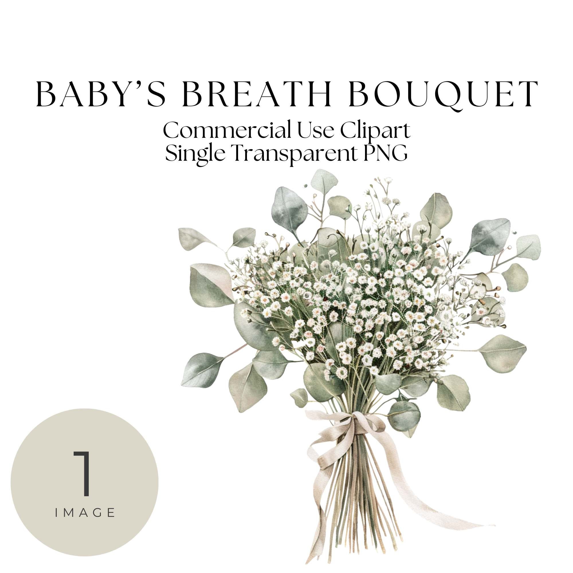 Baby Breath Floral Clipart Bouquet - Baby’s Breath Bouquet - Gypsophila ...