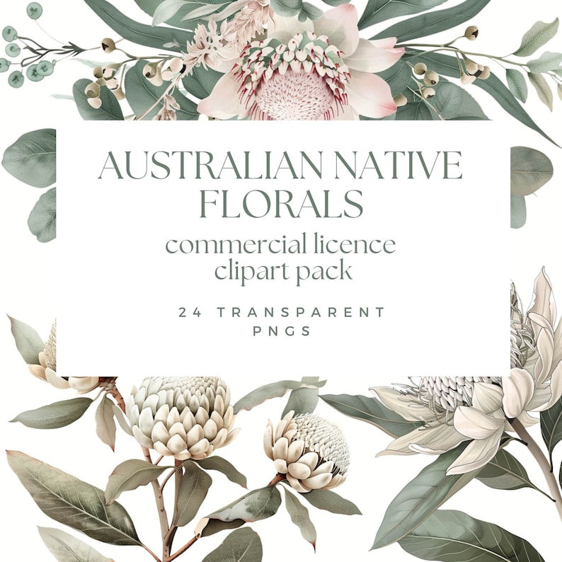 Australian Native Florals Clipart Collection for Creators Transparent ...