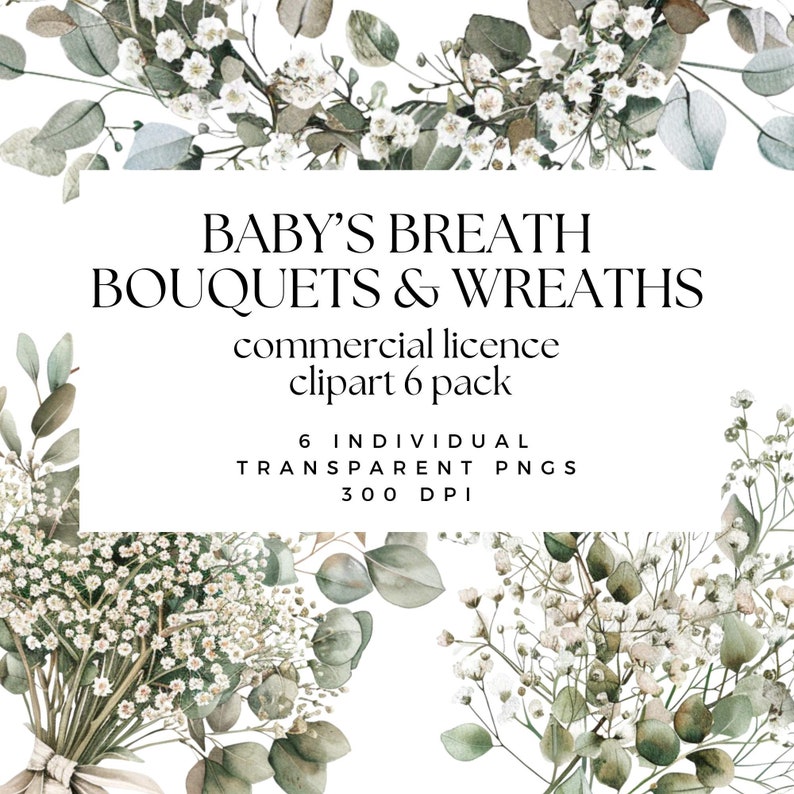 Baby Breath Floral Clipart Bouquets and Wreaths - Baby’s Breath Bouquet ...