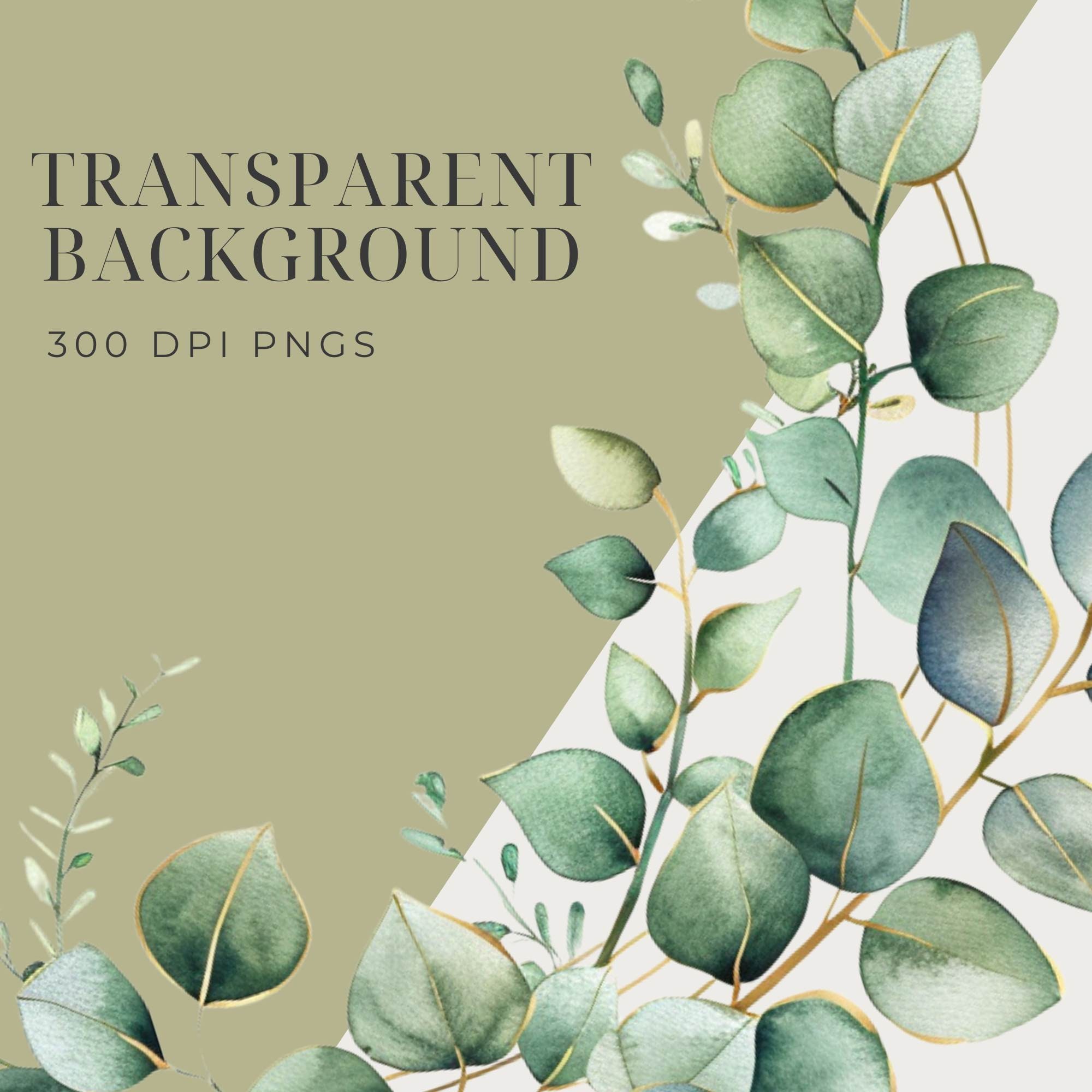 Eucalyptus and Gold Frame Wreath Clipart - Floral Clipart - Wreath ...