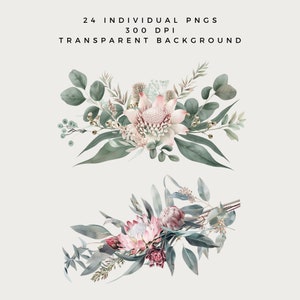 Australian Native Florals Clipart Collection for Creators Transparent ...