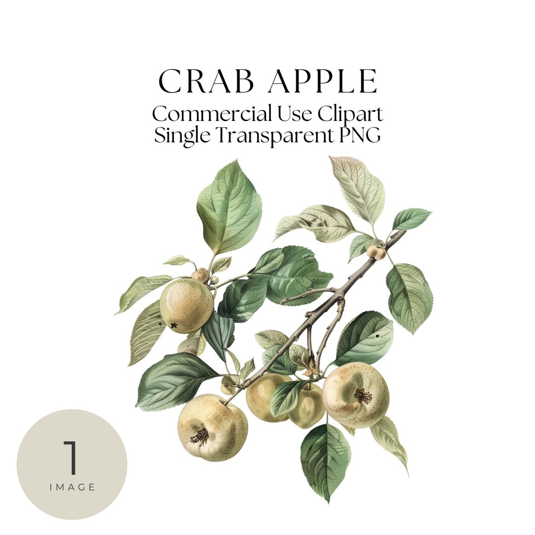 Crab Apple Clipart - Fruit Clipart - Apple Clipart - Floral Clipart ...