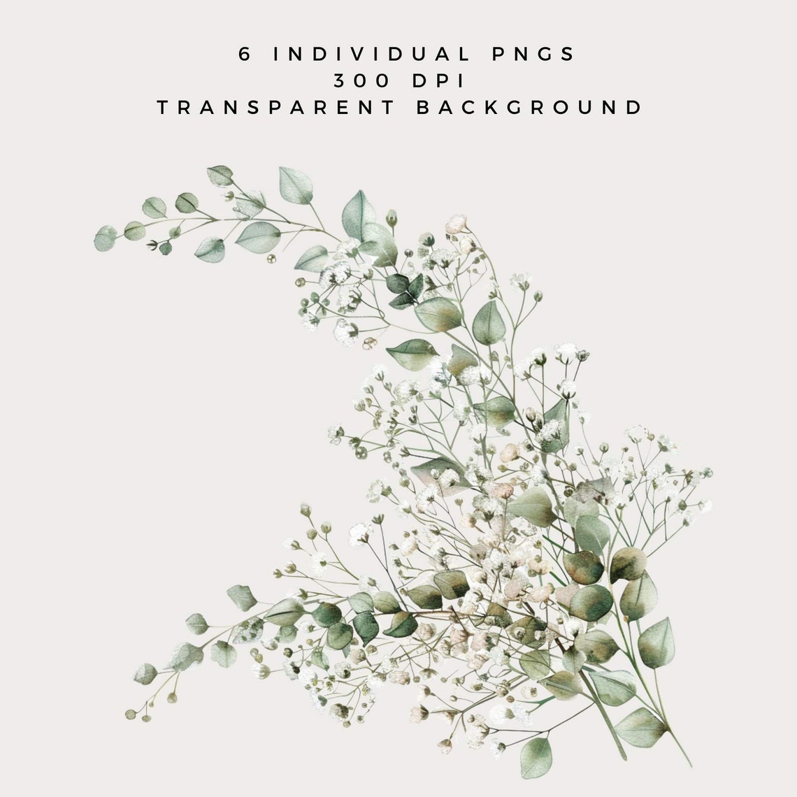 Baby Breath Floral Clipart Bouquets and Wreaths Babys Breath Bouquet ...