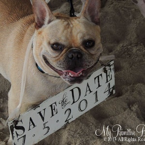 Rustic Engagement Sign for Dog | Save the Date Sign | Personalized ...