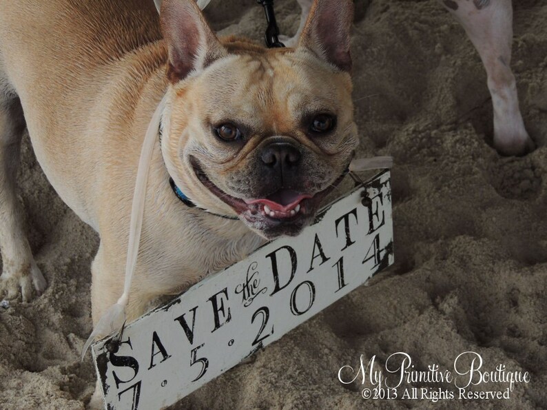 Rustic Engagement Sign for Dog Save the Date Sign | Etsy